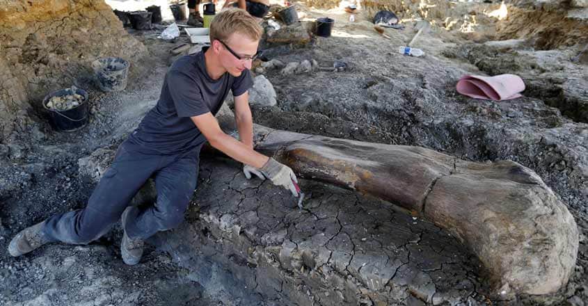 Giant dinosaur bone found in southwestern France | World News | Manorama
