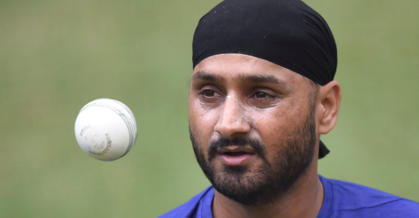 Give finger spinner a role at World Cup: Harbhajan | Cricket News