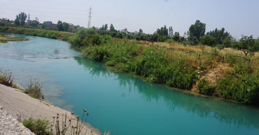 It’s Human to Travel | A column by Paul Zacharia