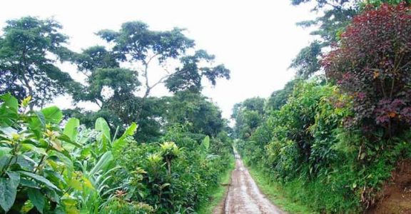 Experiencing real rural African life first hand | Onmanorama