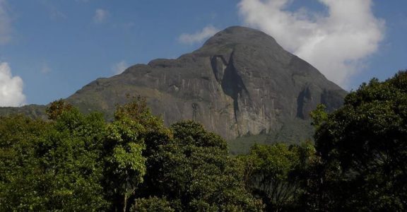 Tamraparni: a nectar of life from Agasthyarkoodam | Beyond Kerala