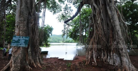 This monsoon, make a road trip to Ootty via Attappady | Palakkad ...