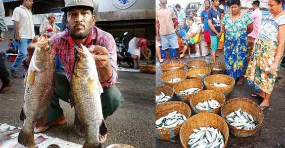 Fish tales from Mandovi in Goa | Goa | fishing | fishermen | Goan ...