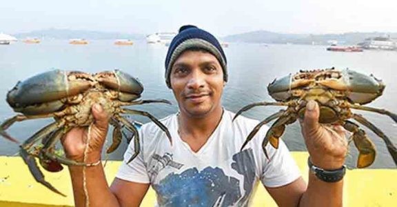Fish tales from Mandovi in Goa | Goa | fishing | fishermen | Goan ...