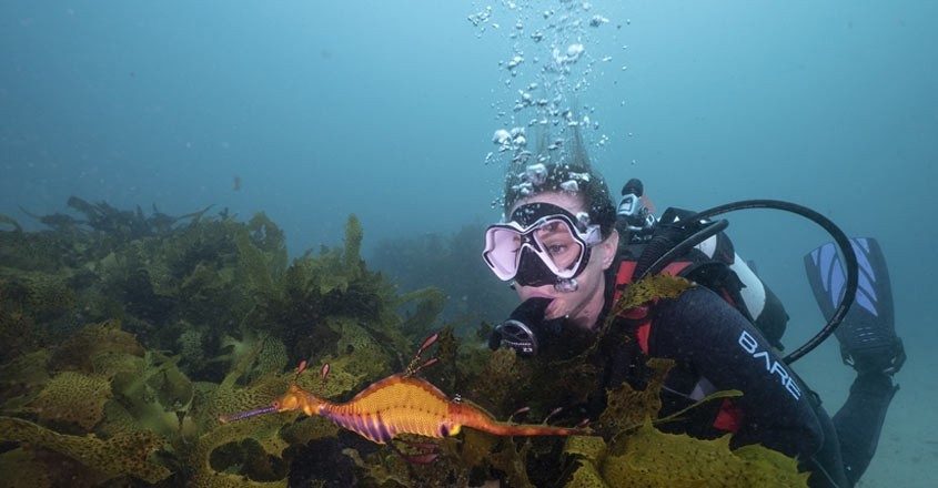 Set on a virtual tour to New South Wales, Australia | Travel | Manorama ...