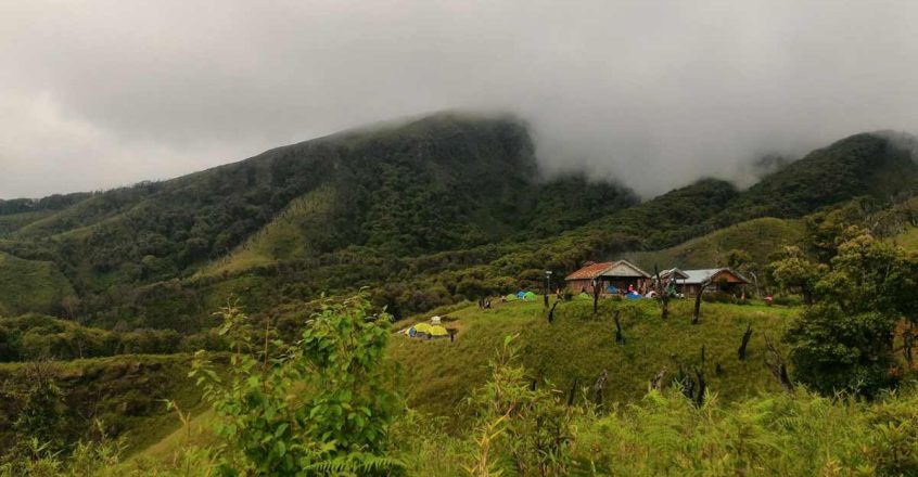 Dzukou Valley: A secret paradise in Northeast India | Travel | Manorama ...