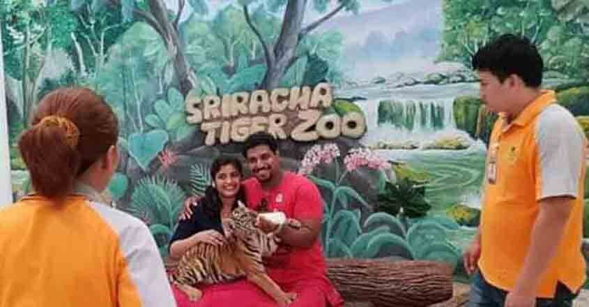 Feeding a tiger in Thailand thrilled Shalu no end