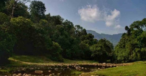 Lal Jose explores one of Idukki’s best tourist spots Mankulam ...