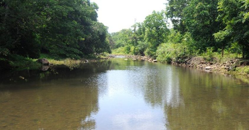 Kottiyoor: the site of a legendary sacrifice | Hindu Religion ...