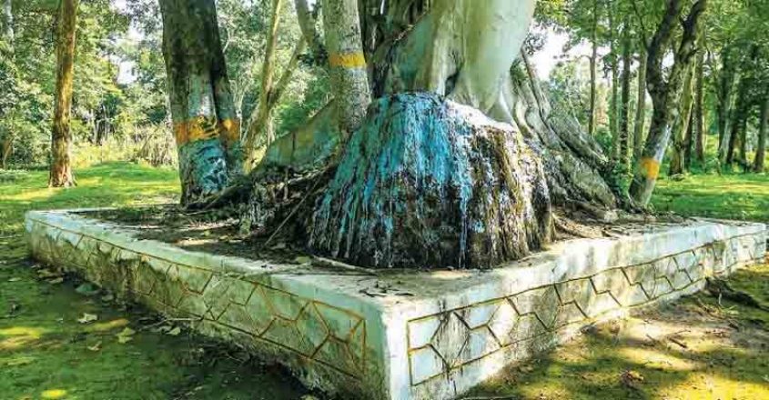 Tiptoeing on Sita trail in Wayanad | Wayanad | Wayanad Cultural ...