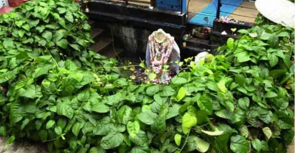 Unique rituals, rich tradition make these temples stand apart | temples ...