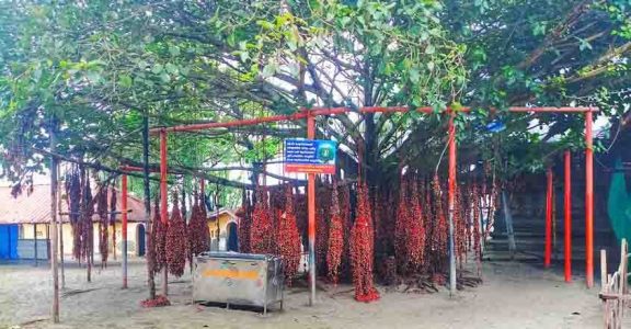 Kattil Mekkathil Bhagavathy - a temple spared by Tsunami | Essential ...