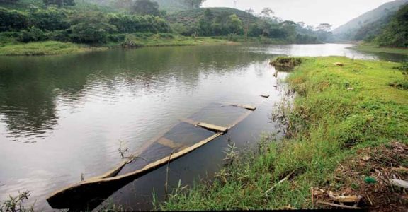 Vagamon – the jewel in the crown of Idukki