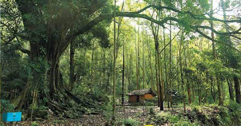 Kanthalloor, Kerala’s Kashmir, casts a spell