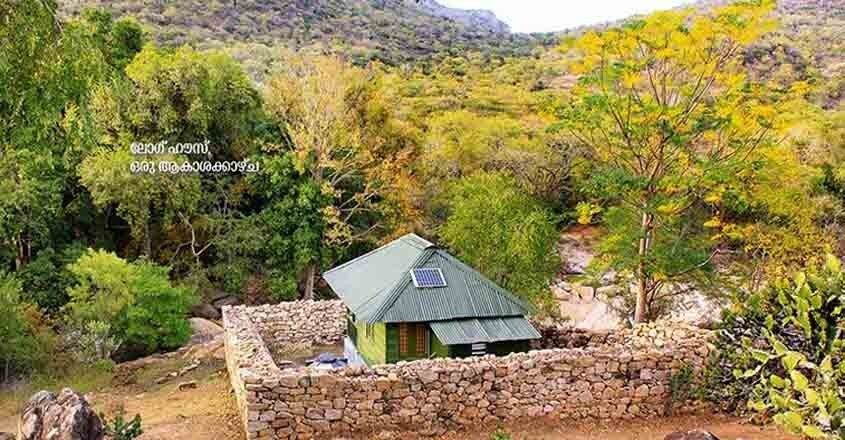 Log cabins of Chinnar are a traveller's dream | wildlife sanctuary ...