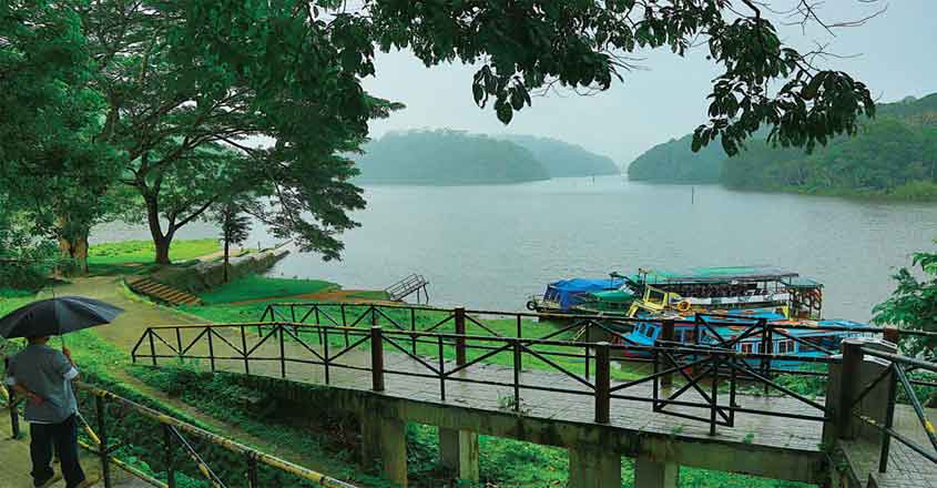 Thekkady: An evergreen attraction | Thekkady | Idukki | Nilgiri tahr ...