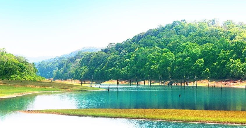 A complete guide to picturesque Thekkady | Onmanorama Travel