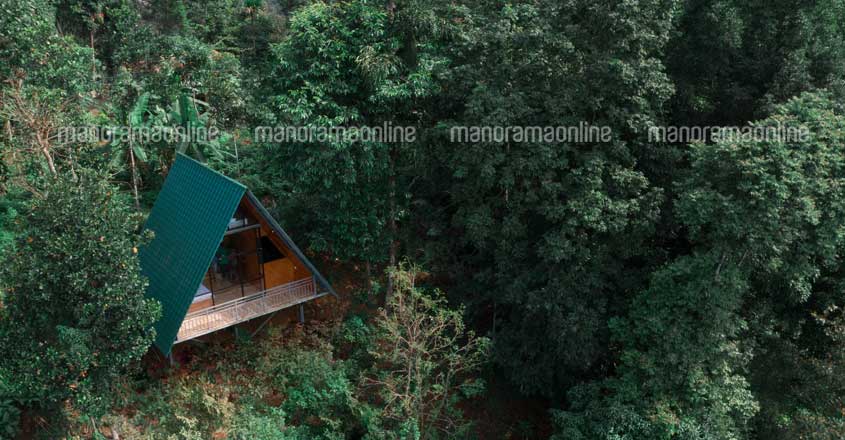 Willmount is the latest cottage resort you need to explore in Munnar ...