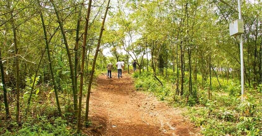 Palakkayam Thattu – mark of a new promise | Onmanorama