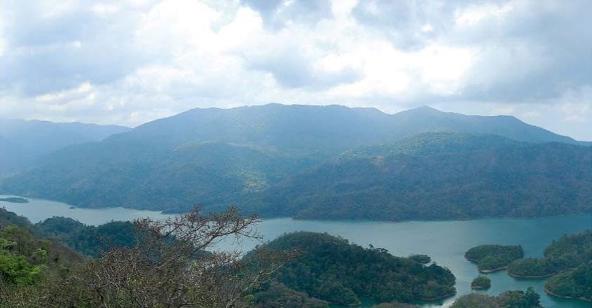 Surreal charm of rosewood forest of Rosemala in Kollam | destinations ...