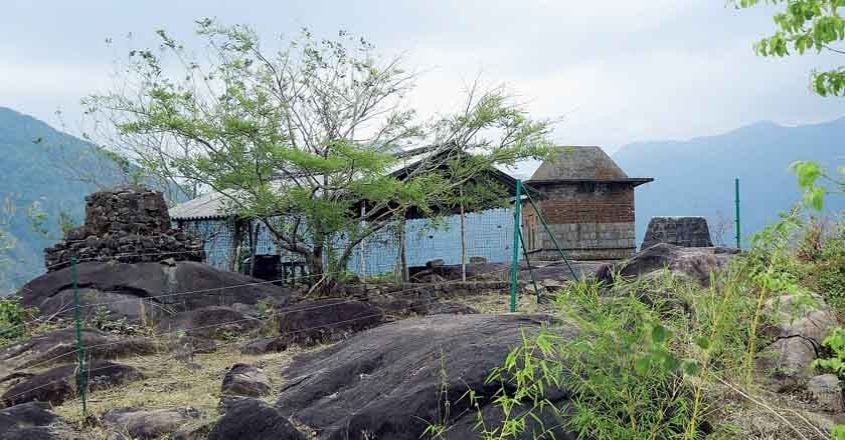 Surreal charm of rosewood forest of Rosemala in Kollam | destinations ...