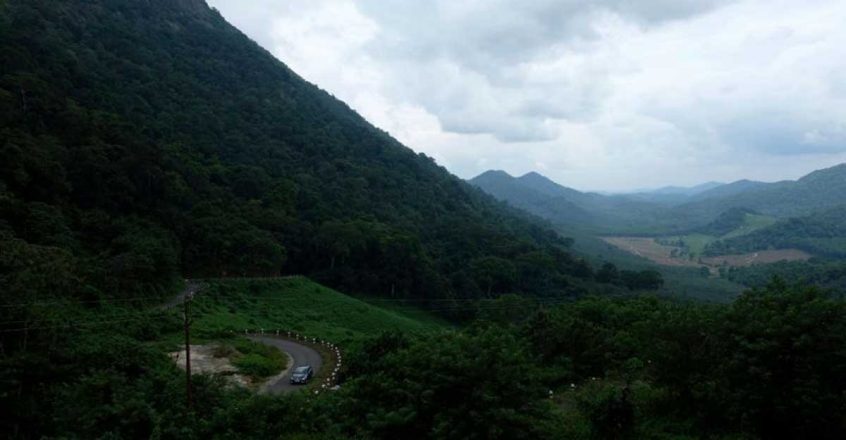 Drive to Mampazhathara through a forest path that Google can't take you ...