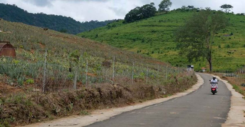 Drive to Mampazhathara through a forest path that Google can't take you ...
