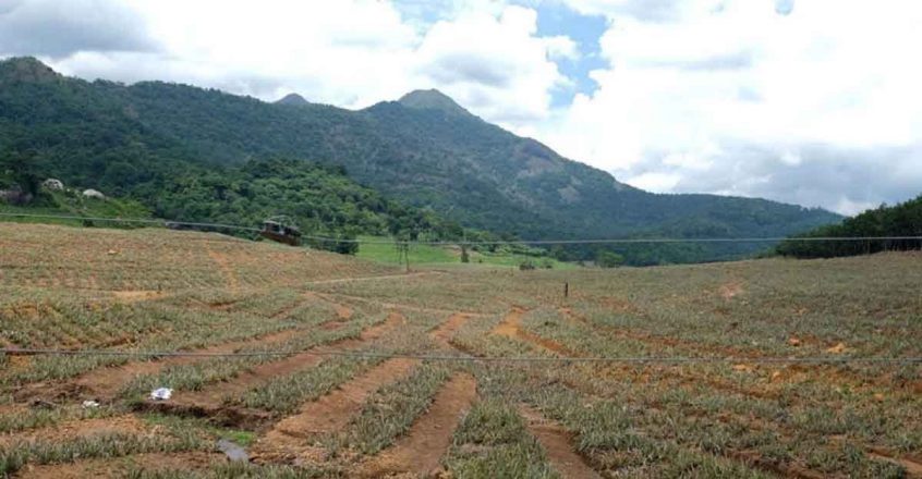 Drive to Mampazhathara through a forest path that Google can't take you ...