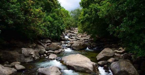 Visiting Wayanad? Stop over at serene Nilambur