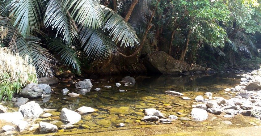 Meenvallam in Palakkad offers relief from heat | Summer | Travel ...