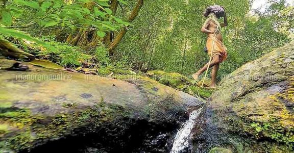 Nature awaits devotees at the Pullumedu forest path | Pathanamthitta ...