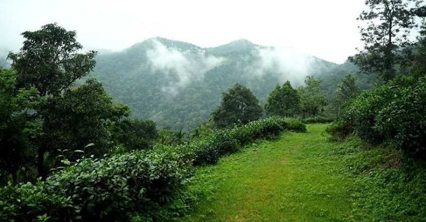5 must see places in Thiruvananthapuram | Kerala Destinations ...