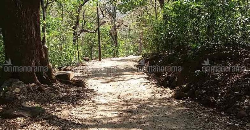 Bond with nature while you trek to Meenmutty waterfalls | Waterfalls ...