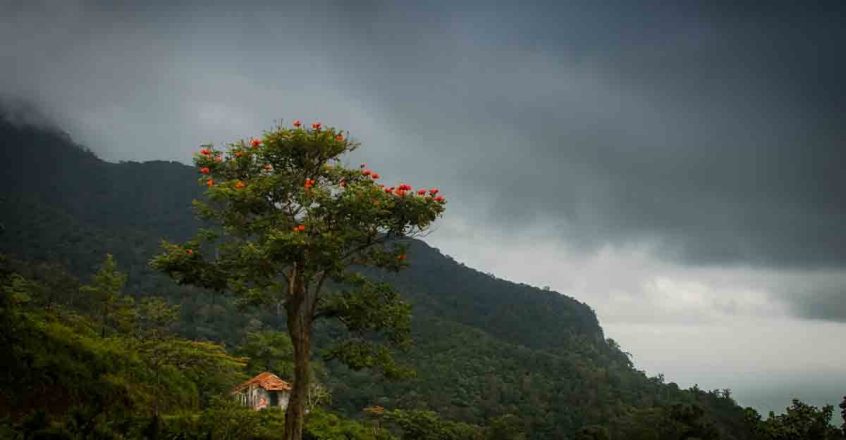 Welcome to the 'most haunted' place in Kerala | Bonacaud | Trivandrum ...