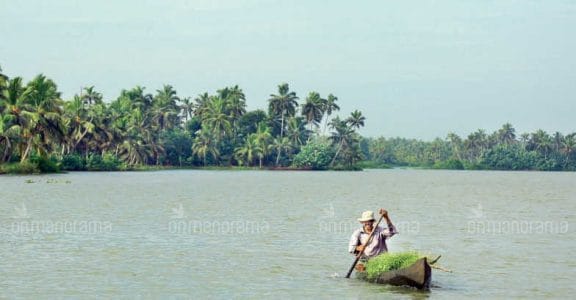 Chettuva: a serene expanse | weekend destination in Thrissur | Glimpses ...