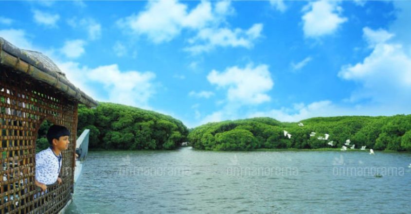 Chettuva: a serene expanse | weekend destination in Thrissur | Glimpses ...