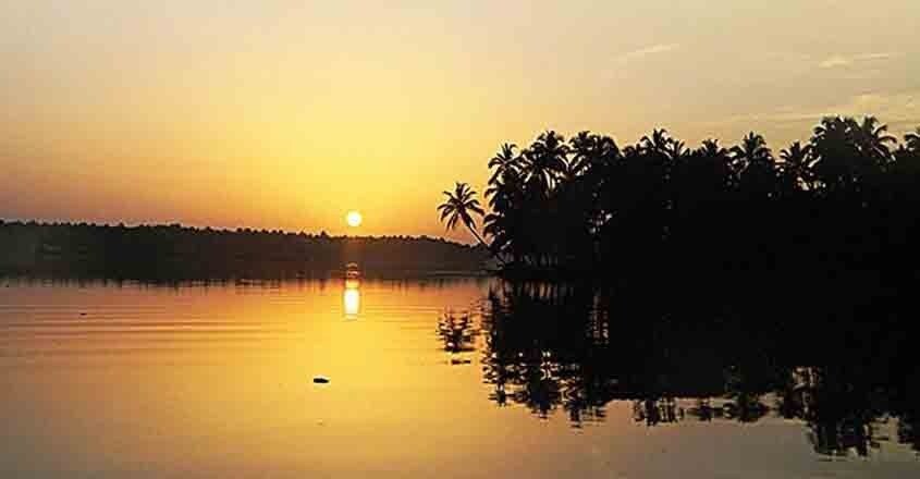 Chettuva in Thrissur: Flaunting Kerala’s biggest mangrove forest ...