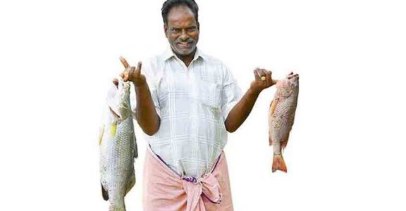 Chettuva in Thrissur: Flaunting Kerala’s biggest mangrove forest ...