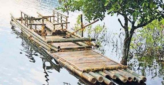 Take a fulfilling one-day trip to Thrissur's Chimmini | Kerala Travel ...