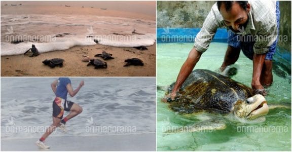 Five beaches you should visit on your trip to Kozhikode | Kozhikode ...