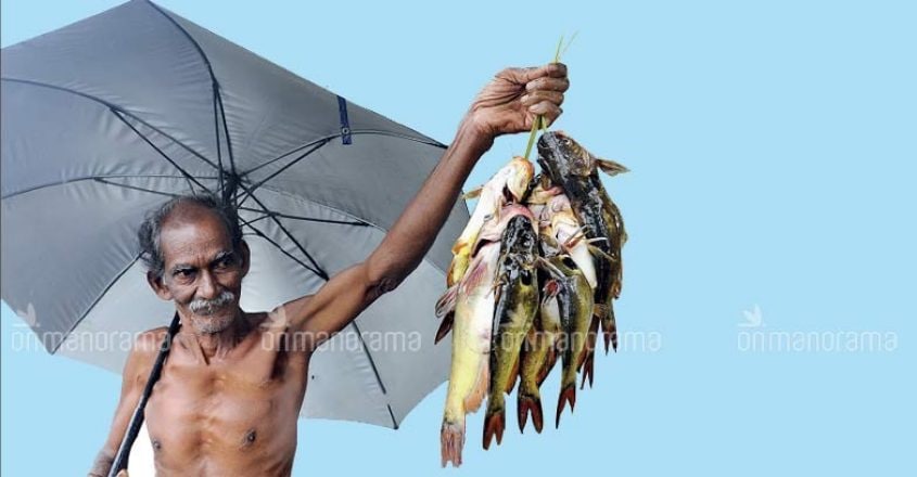 Fish like a native: spend a monsoon day in Kottayam | Kottayam | Kerala ...