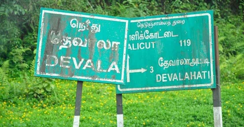 Wild Planet Jungle Resort - a breath of fresh air | Devala | Wild ...