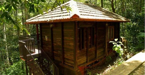 Wild Planet Jungle Resort - a breath of fresh air | Devala | Wild ...