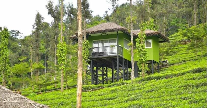 Wild Planet Jungle Resort - a breath of fresh air | Devala | Wild ...