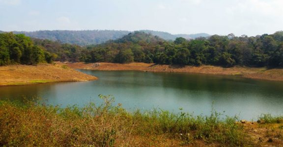 A one-day picnic to three dams in Thrissur | Kerala Travel | Travel ...