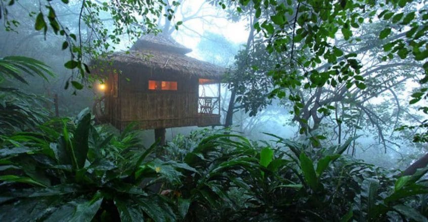 Tree houses that offer a real feel of the forest | Travel | Hourglass ...