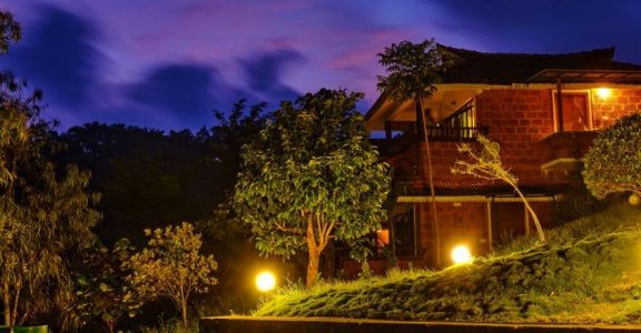 Contour Island Resort: a paradise amidst forests | Onmanorama Travel