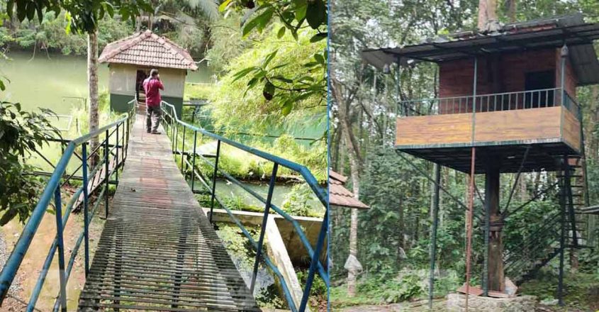 Visit Thiruvambady farmlands in Kozhikode to get a stamp of green thumb