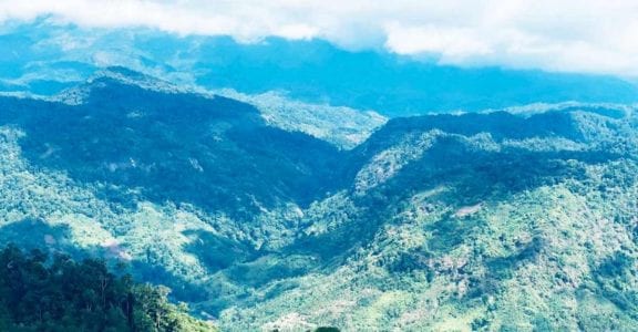 The view from Valparai and the tiger sanctuary | Kerala | Manorama English