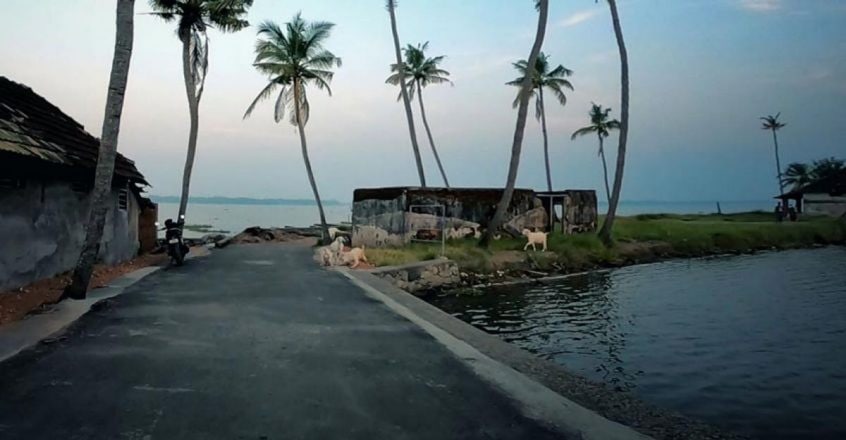 Nedungad : This unexplored village in Kochi is the location of ...